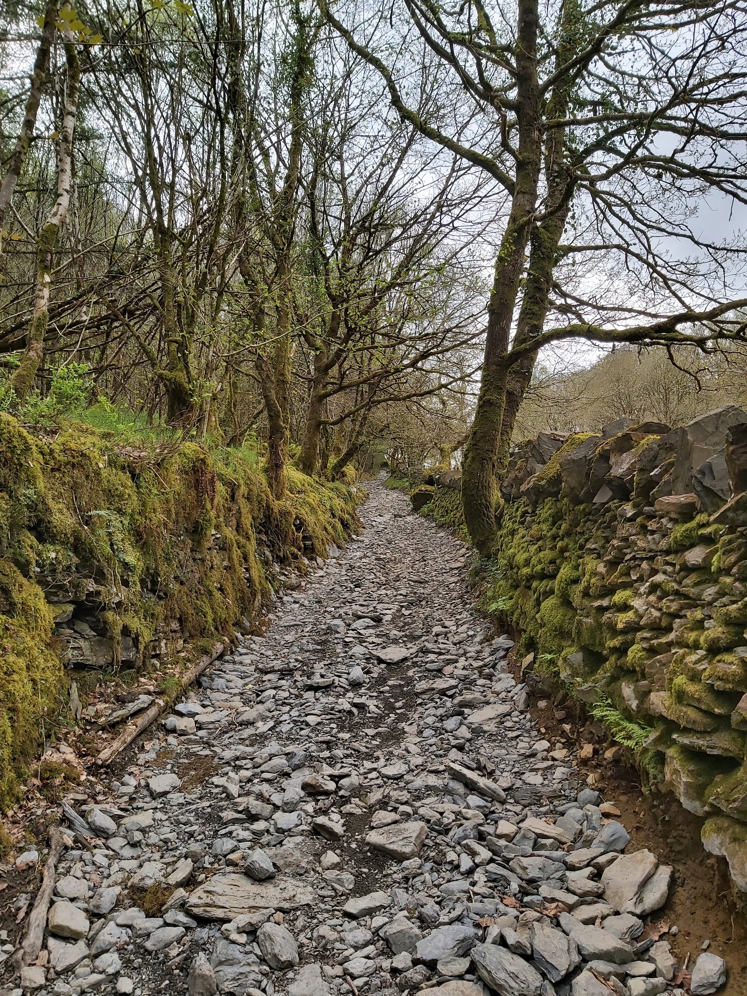 What did British Latin sound like? – Danny L. Bate